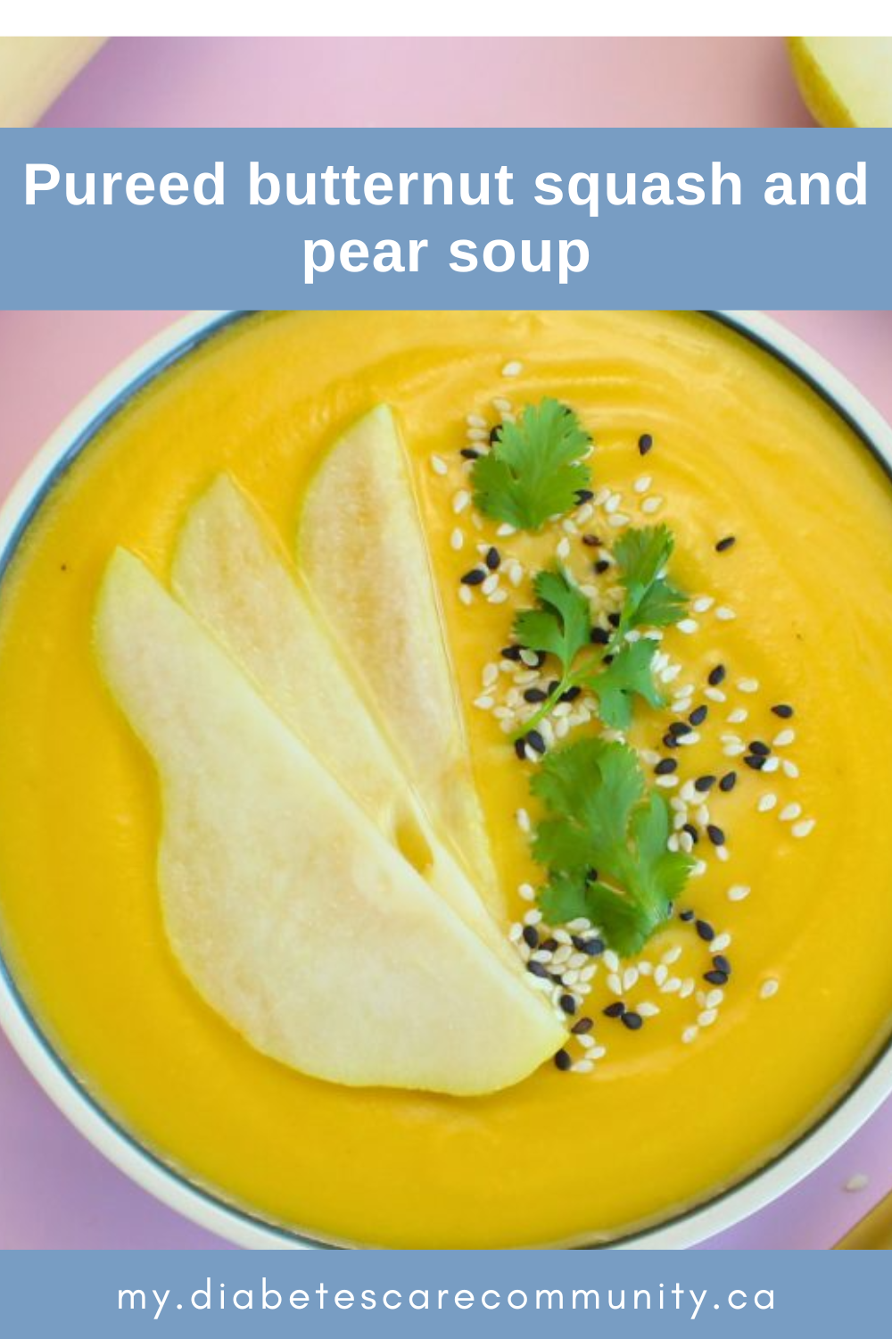 Pureed Butternut Squash and Pear Soup - My Diabetes Care Community