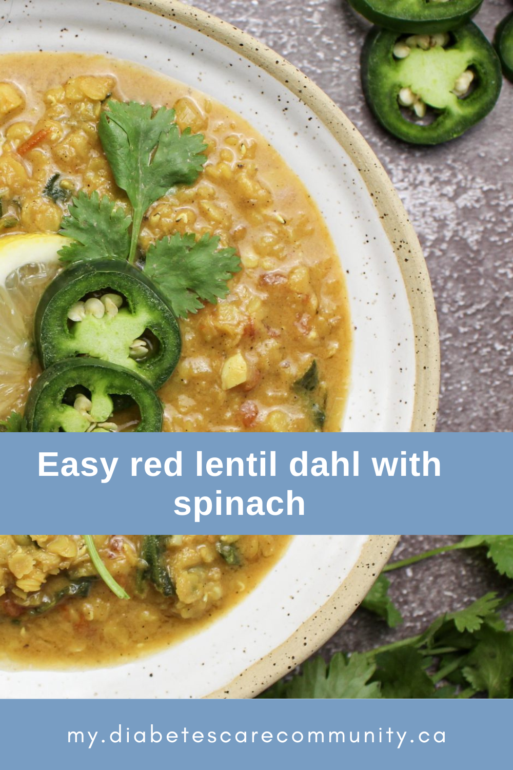 Easy Red Lentil Dahl with Spinach - My Diabetes Care Community